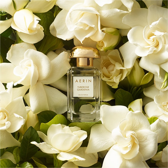 Shop All AERIN Perfume, Body Cream & Travel Sprays | Estée Lauder